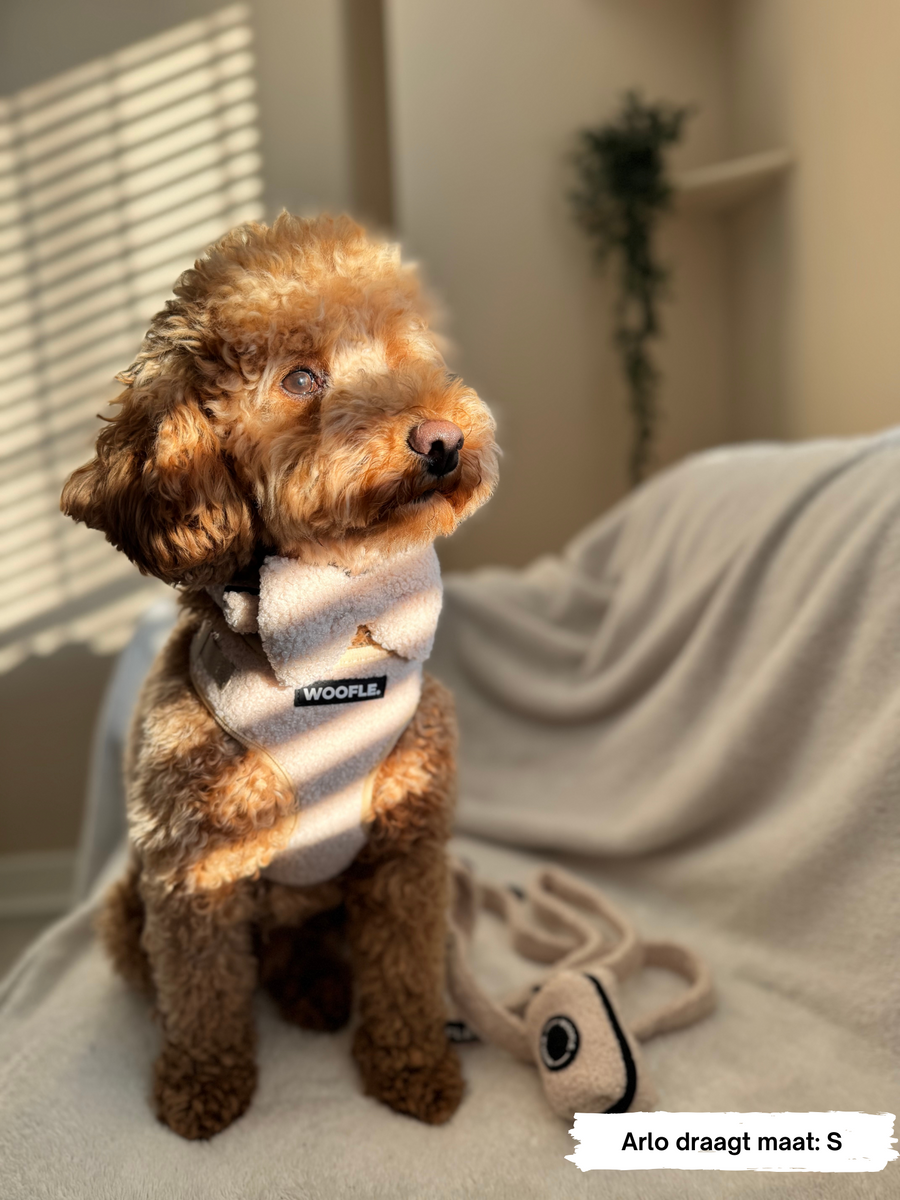 Set Teddy - Beige – WOOFLE