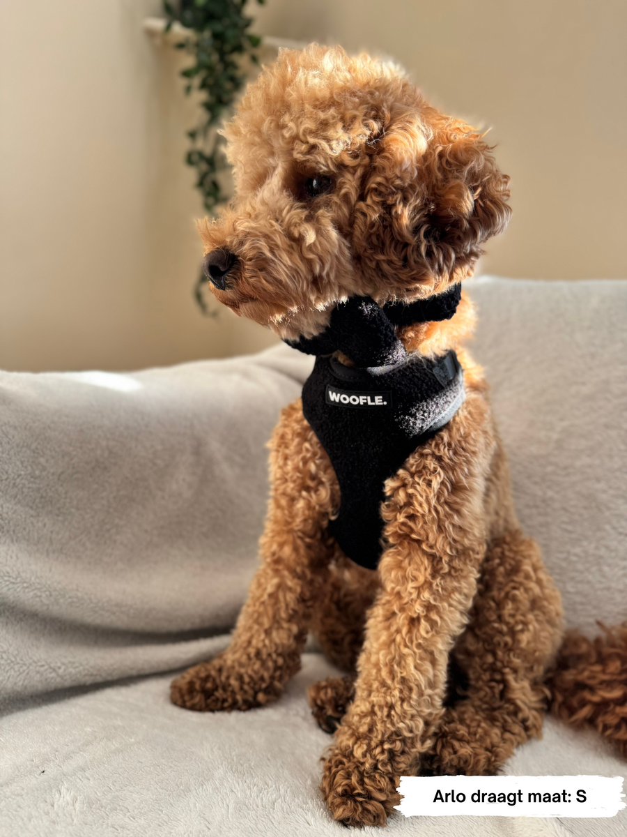 Set Teddy - Zwart – WOOFLE