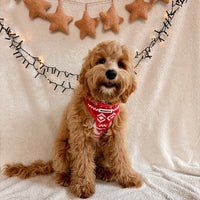 Holiday Sale – WOOFLE